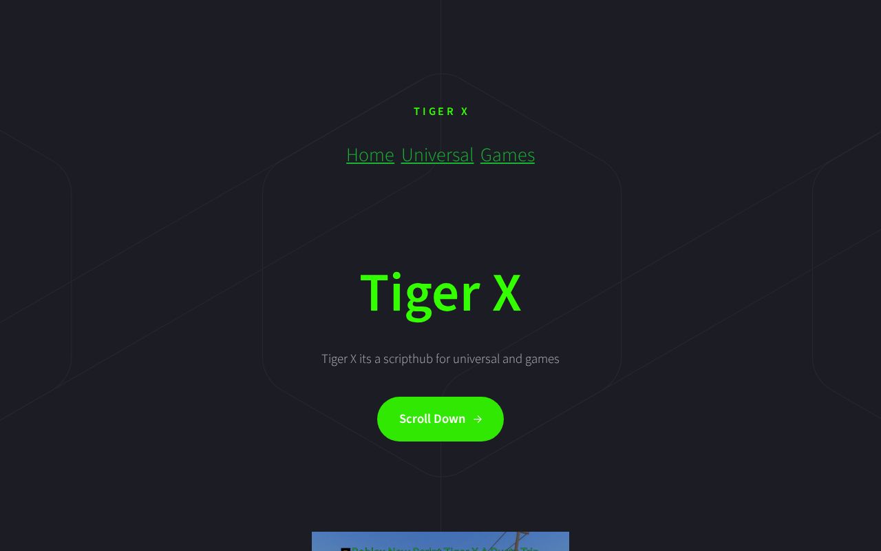 Tiger X (Games)
